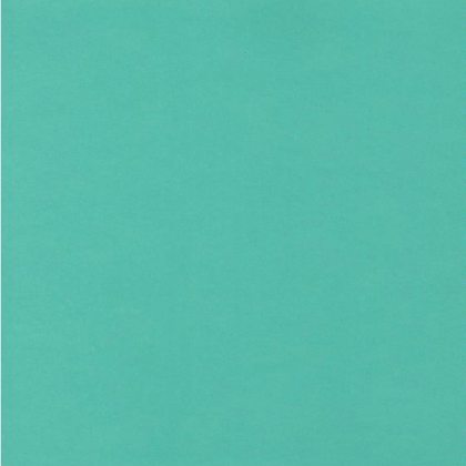 Blue Raspberry Cardstock| Scrapbookers Painted Page
